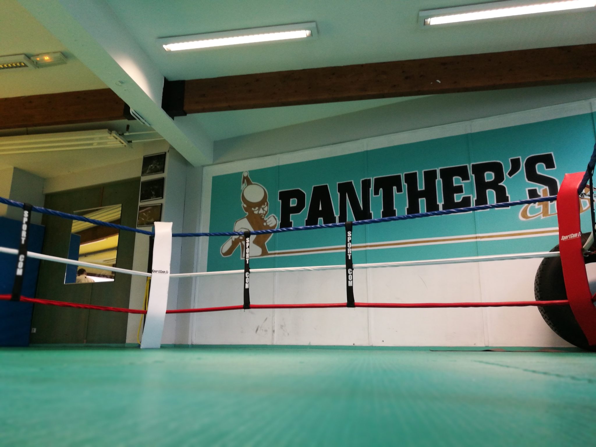 Accueil - Panthers Club Lille